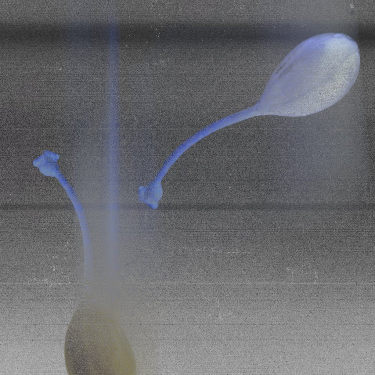 You’re unlike the others — you’re unplain